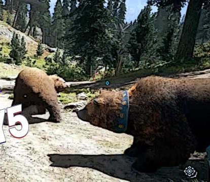 Scum - Welche Tiere gibt es in Scum? - GamesPlus.de